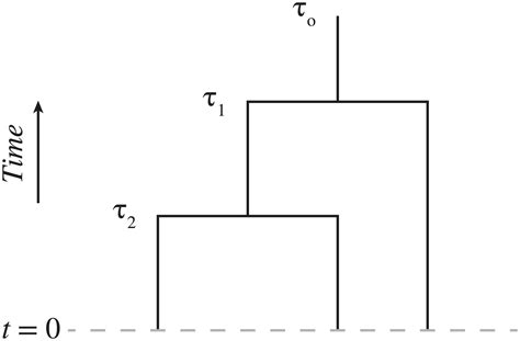 A Class Of Identifiable Phylogenetic Birth Death Models Pnas