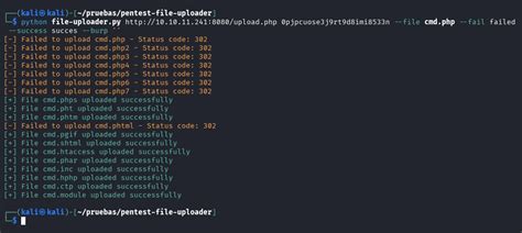 Cybersecurity Pentesting Python Bugbounty Fileupload Websecurity