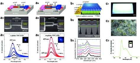 Schematic Illustration And Top View Field Emission Sem Fe Sem Images Download Scientific