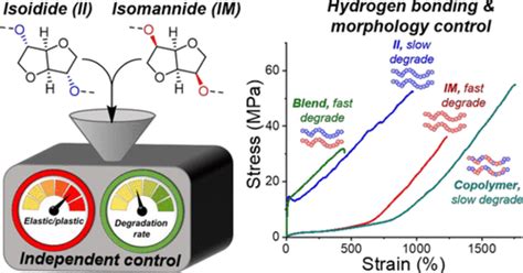 Scientists Design New Sugar Based Sustainable Polymers Sustainable Plastics