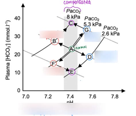 Acid Base Graph Diagram Quizlet