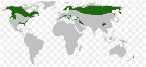 Taiga Locations On A Map