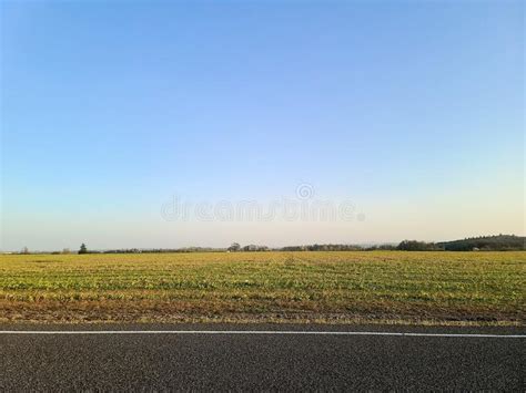 Fields Of Rolling Green Stock Image Image Of Cloud 229206419