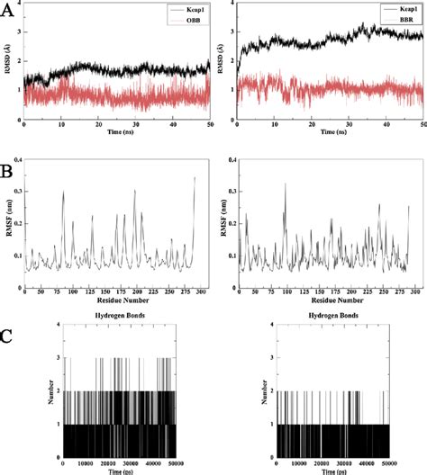 Molecular Dynamics Simulations Of OBB Keap 1 Complex And BBR Keap 1