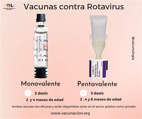 El Rotavirus Es La Asociación Mexicana De Vacunología