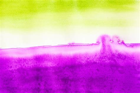 무료 이미지 햇빛 아침 조직 자 꽃잎 젖은 여름 녹색 색깔 고요한 담홍색 수채화 쾌활한 배경 제비꽃 코스 영상 마젠타 매크로 사진 축적