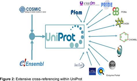 Figure 1 From The Role Of Uniprots Protein Sequence Databases In Biomedical Research Semantic