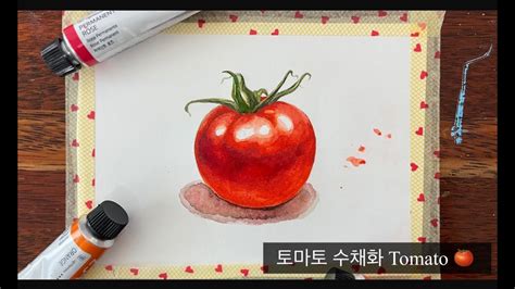 수채화 토마토 맛나게 그리기 Youtube