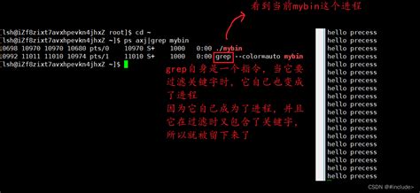 【linux】进程的初步认识（一） csdn博客