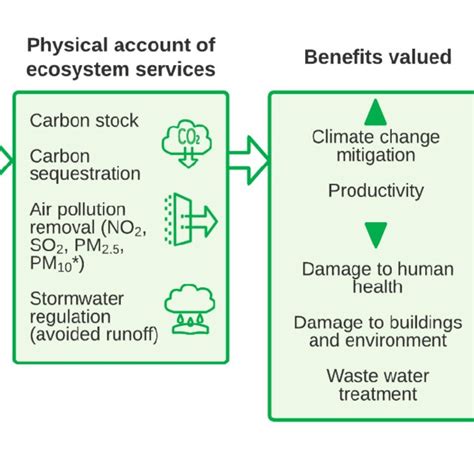 Logic Chain For Estimating The Value Of Non Woodland Trees Using The Download Scientific