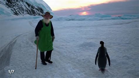 hatice peucker on linkedin penguins futureinnovation