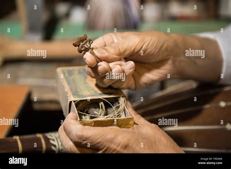 Stringed Instrument Maker High Resolution Stock Photography And Images Alamy