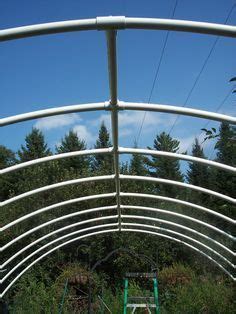 Greenhouse Gardening Container Gardening Raised Garden Beds Backyard Garden Backyard Landscaping