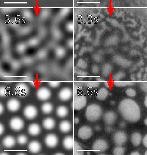 comparison of the temporal evolution of domain patterns obtained from a