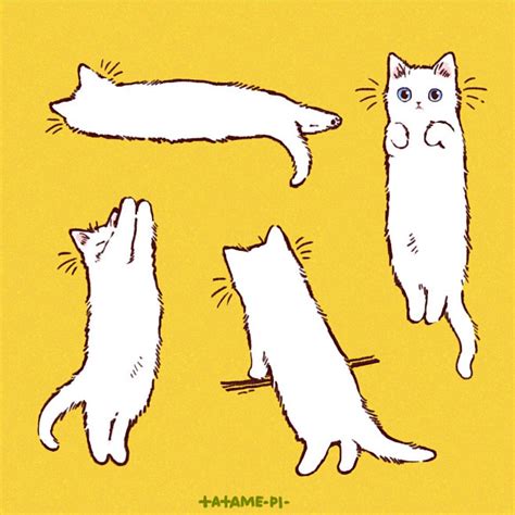 猫咪 头像 图源twitter：tatamepi