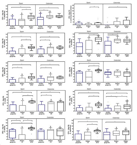 Box Plot Presenting Concentrations Expressed As Medians And