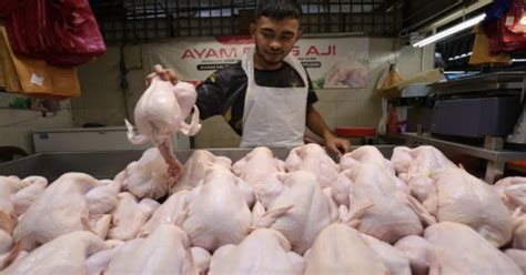Expert Govts Move To Float Chicken Prices Will Benefit Consumers