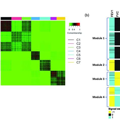 A The Heatmap Of The Co Membership Matrix Of Five Clusters Identified