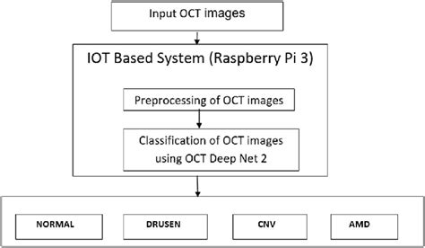 Iot Based Oct Image Classification Using Deep Learning Frame Work Download Scientific Diagram