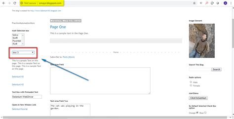 Webdriverio Handling Dropdowns Qafox