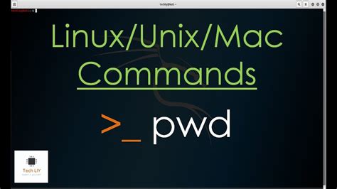 pwd command in unix linux youtube