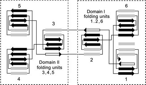 Schematic Representation Of The Epsp Synthase Chain Taking Into Download Scientific Diagram