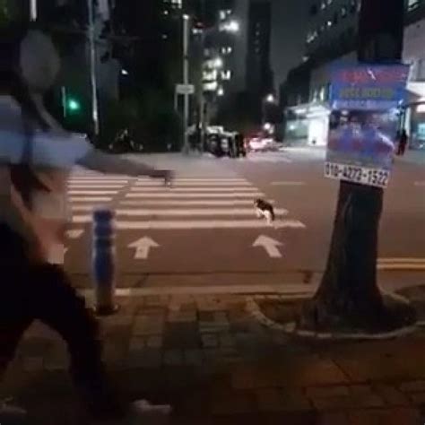 Final Project Object Detection Dataset And Pre Trained Model By Ray