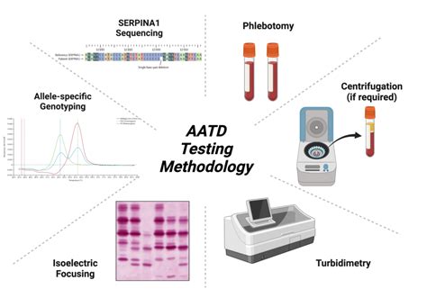 Alpha 1 Antitrypsin Deficiency Aatd Precision Medicine For Copd