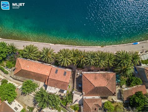 Tretiranje Palmi Protiv Crvene Palmine Pipe U Np Mljet Javna Ustanova