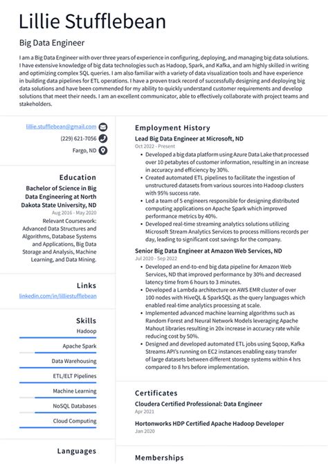 amazon big data engineer resume examples resumecat