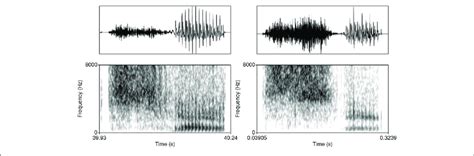 Waveforms And Spectrograms 0 8000 Hz Of Two Generated Outputs Of