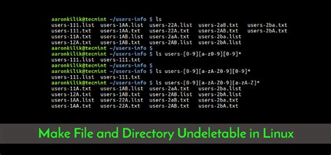 Practical Examples Of Linux Find Command