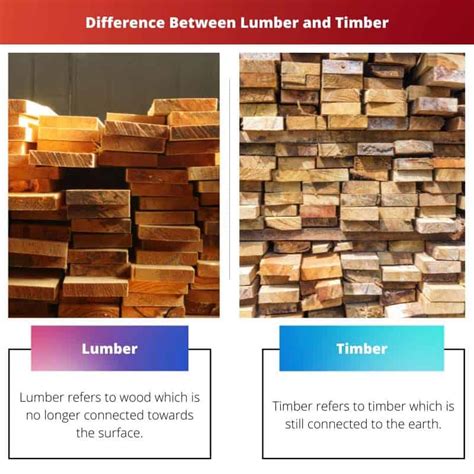 Lumber Vs Timber Difference And Comparison