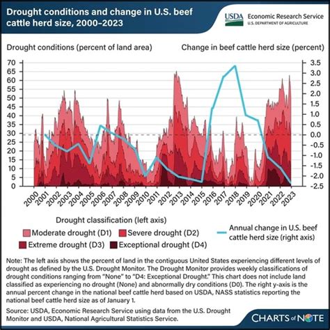 Chart Showing How Weather Influences Fluctuations In Beef Cattle Herd