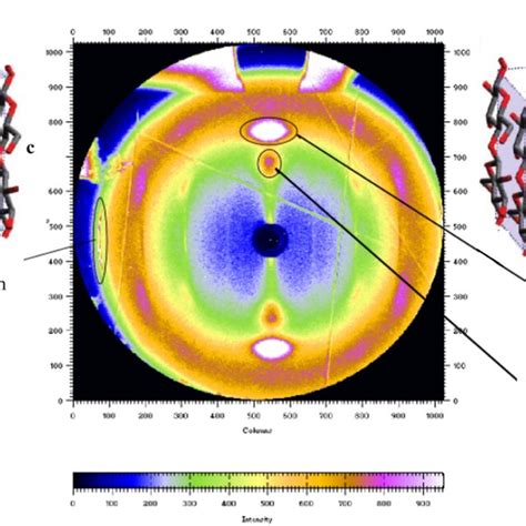 Diffraction Image Of A Pine Sample Submerged In Water At The Initial