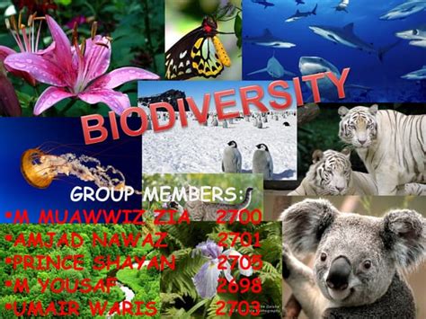 Biodiversity Ppt