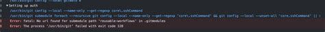 Unable To Checkout In Submodule Path