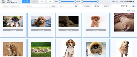 Fatkun 网页图片下载资源下载 Jerrycoding个人博客
