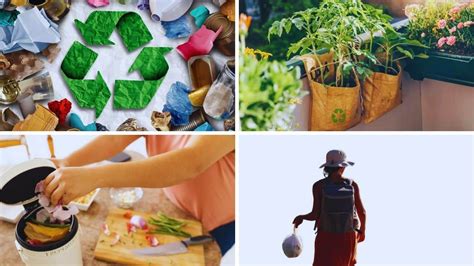 8 Sustainable Practices You Can Implement Now Reduce Your