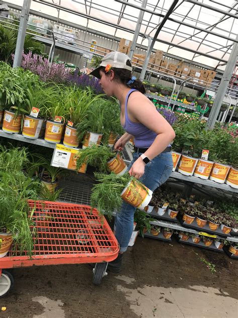 Home Depot Hotties Tight Jeans Forum