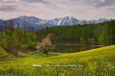 牧歌を感じる光景 MMW 風光彩