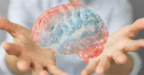 Implicit Vs Explicit Memory Whats The Difference