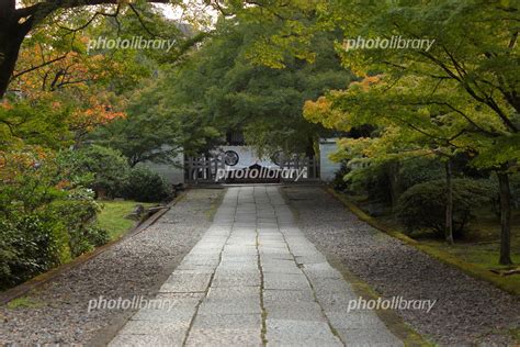 京都養源院の参道 写真素材 1095507 フォトライブラリー photolibrary