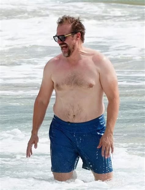 David Harbour David Harbour Stranger Things David Harbor American Actors