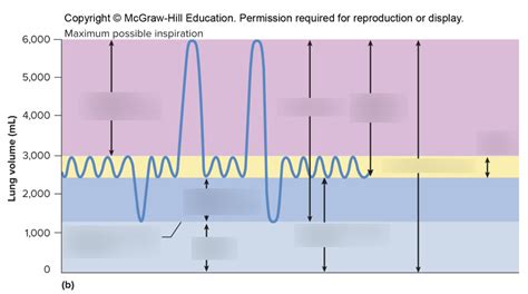 Graph Diagram Quizlet
