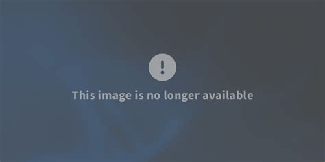 Stunning Fractals Found In Nature The Science Explorer