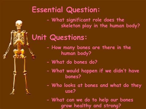 PPT The Human Skeletal System PowerPoint Presentation Free Download ID