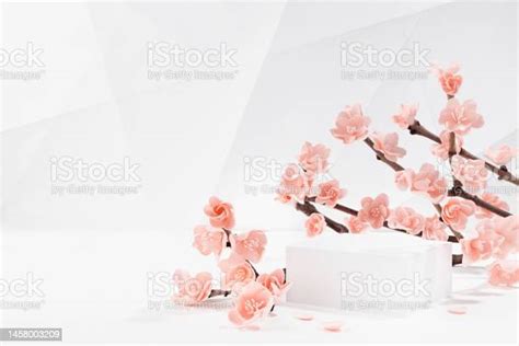 우아한 봄 광장 연단 모형은 프레젠테이션 화장품 상품 브랜딩 디자인을 위한 기하학적 현대적인 스타일의 흰색 인테리어에 밝은 분홍색 일본 사쿠라 꽃의 가지를 장식했습니다 3