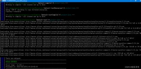 命令行运行mvn Test报错 Failed To Execute Goal Orgapachemavenpluginsmaven Surefire Plugin2124解决方案