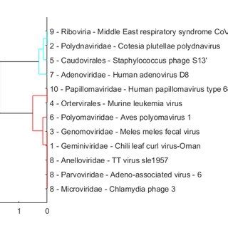 Dendrogram Plots Showing Hierarchical Clustering Results Using Only The